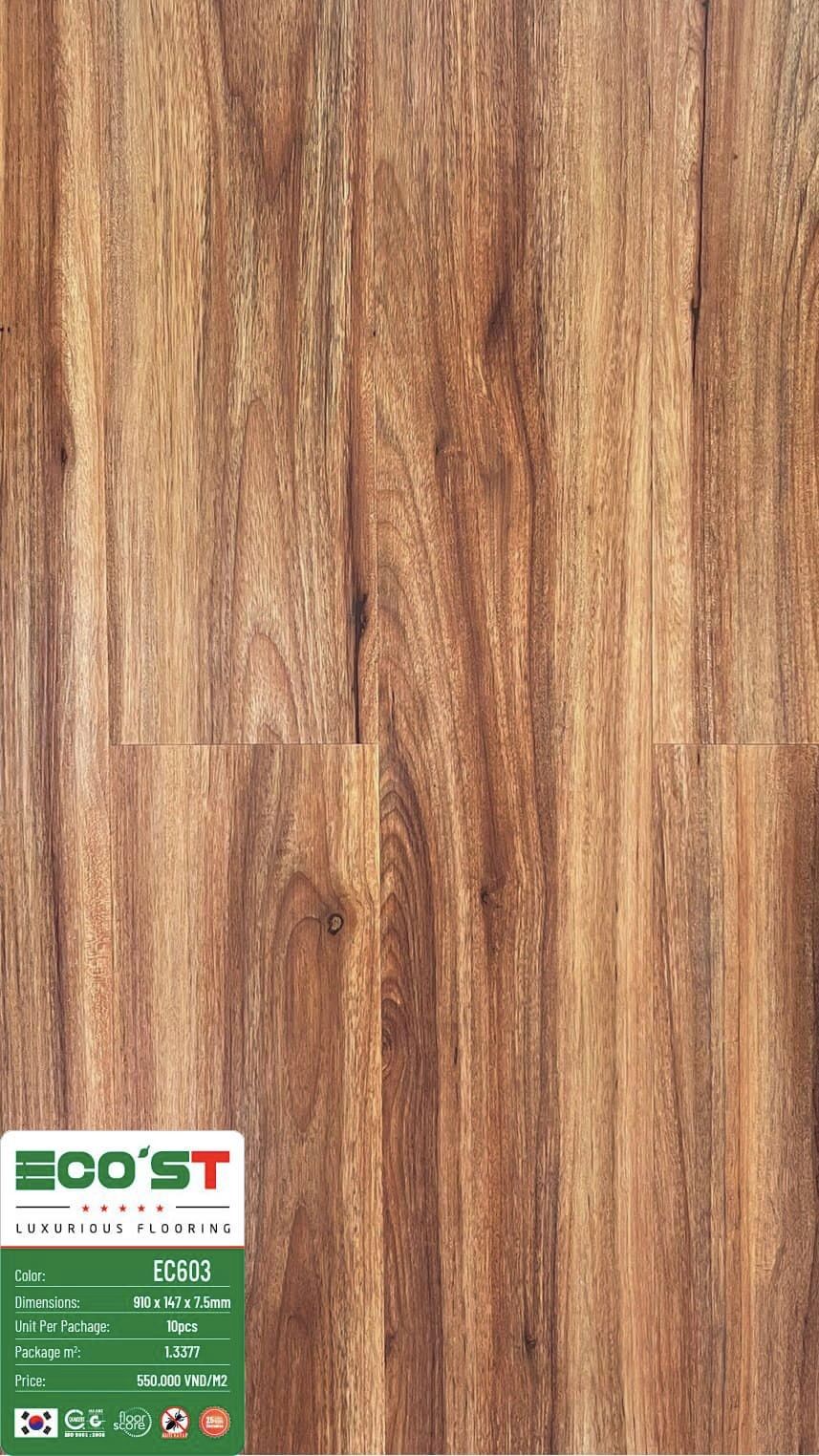 Sàn Nhựa Ecost EC603