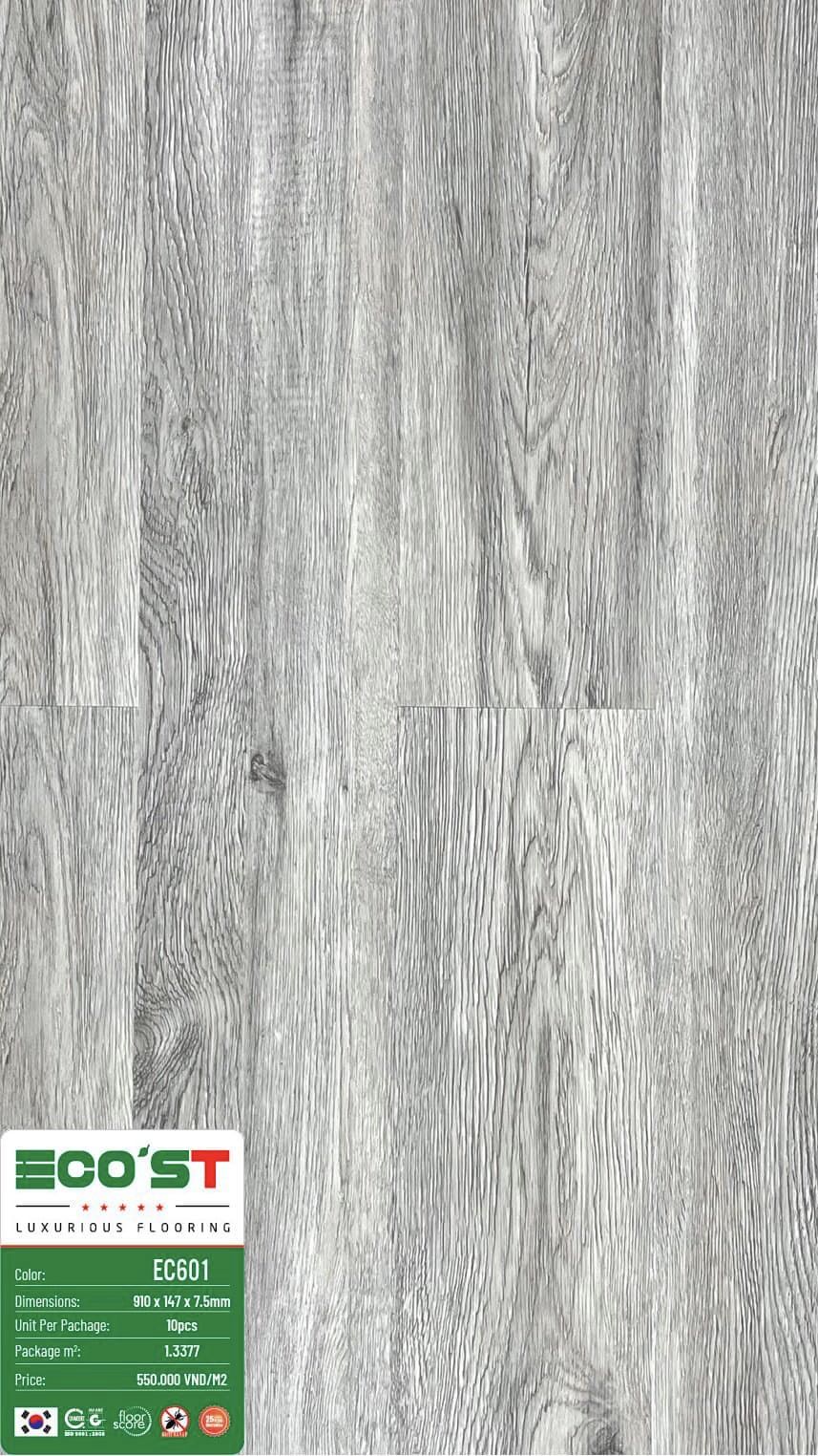Sàn Nhựa Ecost EC601